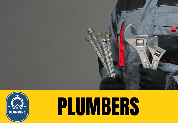 Expert Plumbing Services in Moss Bank | Your Go-To Emergency Plumbers ...